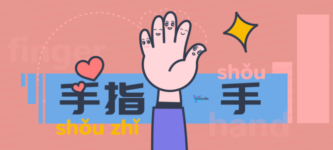 Tips for Memorizing Full Names of Hand Parts/Knuckles/Fingers in ...