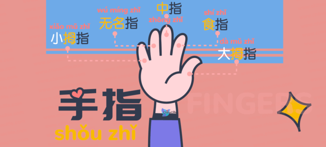 Tips for Memorizing Full Names of Hand Parts/Knuckles/Fingers in ...