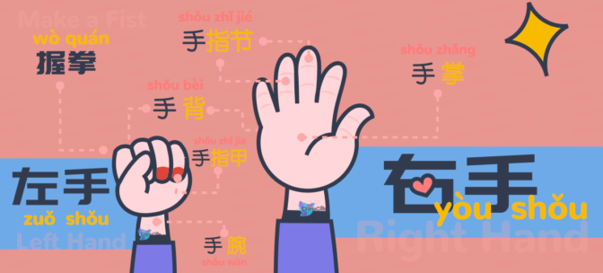 Tips for Memorizing Full Names of Hand Parts/Knuckles/Fingers in ...