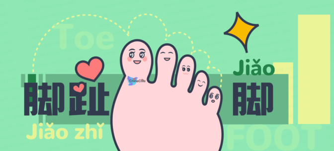 Fast Memorize Chinese Names of Toes and Feet Parts with Brief ...