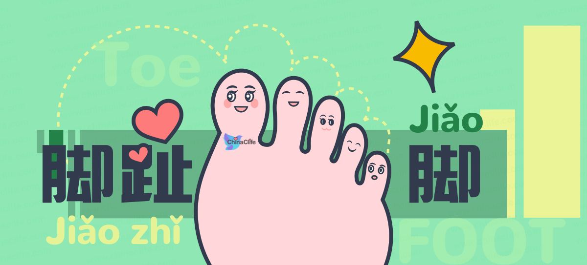 Fast Memorize Chinese Names of Toes and Feet Parts with Brief ...